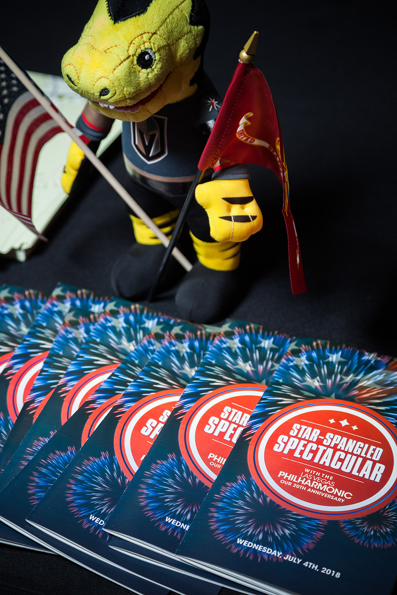 Last Month's Events: July - Folded Flag Foundation
